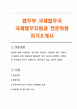 법무부 국제법무국 국제법무지원과 전문위원 자기소개서-1페이지