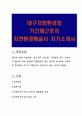 대구지방환경청 기간제근로자  자연환경해설사 자기소개서-1페이지