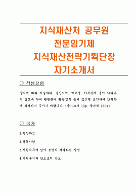 지식재산처 공무원 전문임기제 지식재산전략기획단장 자기소개서-1페이지
