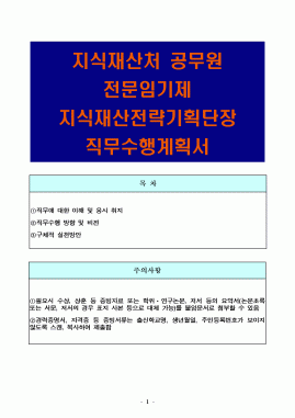 지식재산처 공무원 전문임기제 지식재산전략기획단장 직무수행계획서-1페이지