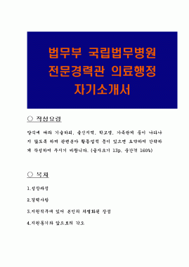 법무부 국립법무병원 전문경력관 의료행정 자기소개서-1페이지