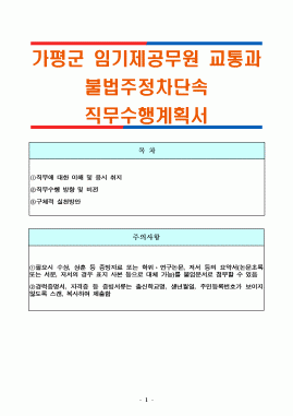 가평군 임기제공무원 교통과 불법주정차단속 직무수행계획서-1페이지