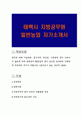 태백시 지방공무원 일반농업 자기소개서-1페이지