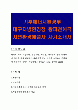 기후에너지환경부 대구지방환경청 왕피천계곡 자연환경해설사 자기소개서-1페이지