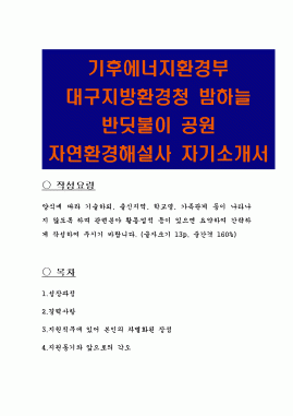 기후에너지환경부 대구지방환경청 밤하늘 반딧불이 공원 자연환경해설사 자기소개서-1페이지