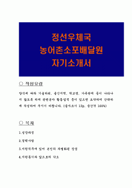 정선우체국 농어촌소포배달원 자기소개서-1페이지