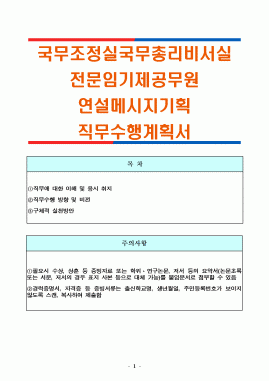 국무조정실국무총리비서실 전문임기제공무원 연설메시지기획 직무수행계획서-1페이지