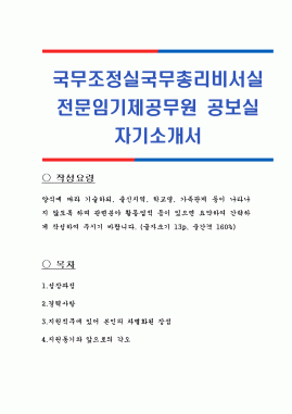 국무조정실국무총리비서실 전문임기제공무원 공보실 자기소개서-1페이지