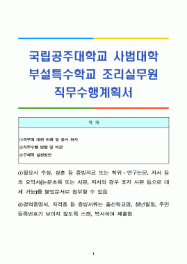 국립공주대학교 사범대학 부설특수학교 조리실무원 직무수행계획서-1페이지