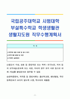 국립공주대학교 사범대학 부설특수학교 학생생활관 생활지도원 직무수행계획서-1페이지