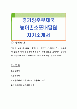경기광주우체국 농어촌소포배달원 자기소개서-1페이지