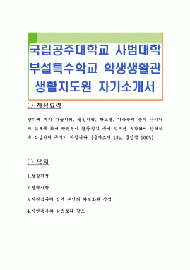 국립공주대학교 사범대학 부설특수학교 학생생활관 생활지도원 자기소개서-1페이지