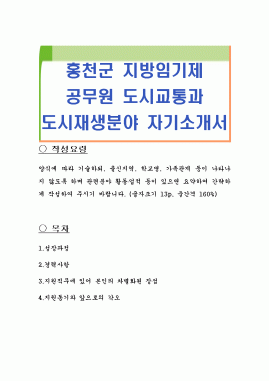 홍천군 지방임기제 공무원 도시교통과 도시재생분야 자기소개서-1페이지