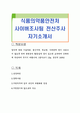 식품의약품안전처 사이버조사팀 전산주사 자기소개서-1페이지