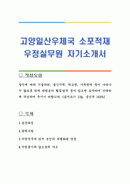 고양일산우체국 소포적재 우정실무원 자기소개서-1페이지