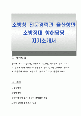 소방청 전문경력관 울산항만 소방정대 항해담당 자기소개서-1페이지