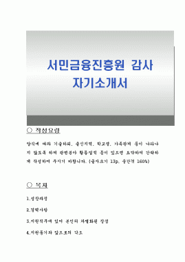 서민금융진흥원 감사 자기소개서-1페이지