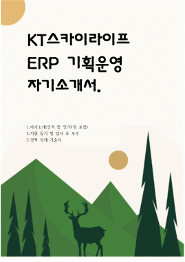 KT스카이라이프 ERP 기획운영 자기소개서-1페이지