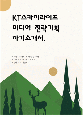 KT스카이라이프 미디어 전략기획 자기소개서-1페이지