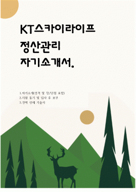 KT스카이라이프 정산관리 자기소개서-1페이지