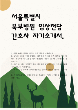 서울특별시 북부병원 임상전담 간호사 자기소개서-1페이지