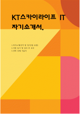 KT스카이라이프 IT 자기소개서-1페이지