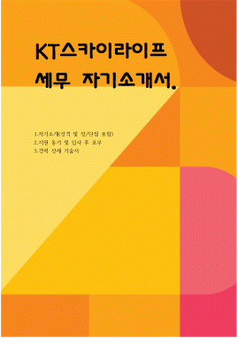 KT스카이라이프 세무 자기소개서-1페이지