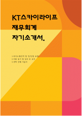 KT스카이라이프 재무회계 자기소개서-1페이지