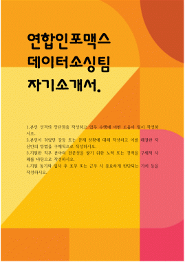 연합인포맥스 데이터소싱팀 자기소개서-1페이지