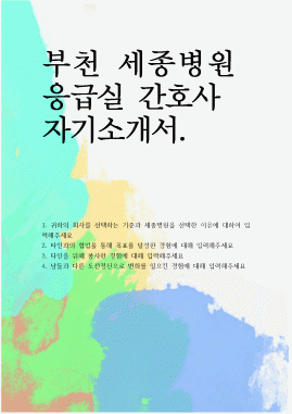 부천 세종병원 응급실 간호사 자기소개서-1페이지