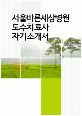 서울바른세상병원 도수치료사 자기소개서-1페이지