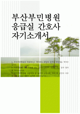 부산부민병원 응급실 간호사 자기소개서-1페이지