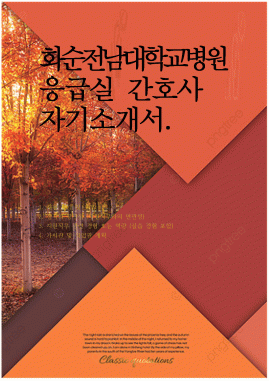 화순전남대학교병원 응급실 간호사 자기소개서-1페이지