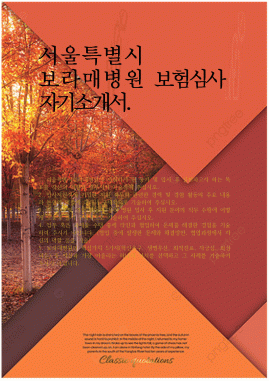 서울특별시 보라매병원 보험심사 자기소개서-1페이지