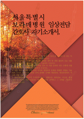 서울특별시 보라매병원 임상전담 간호사 자기소개서-1페이지