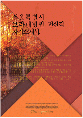 서울특별시 보라매병원 전산직 자기소개서-1페이지