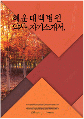 해운대백병원 약사 자기소개서-1페이지