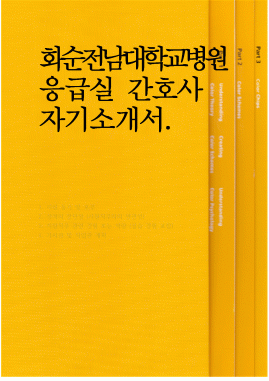 화순전남대학교병원 응급실 간호사 자기소개서-1페이지