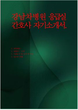 강남차병원 응급실 간호사 자기소개서-1페이지