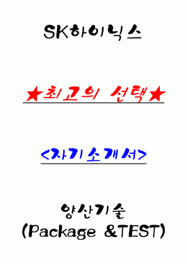 SK하이닉스 양산기술 (Package &TEST) 자기소개서-1페이지