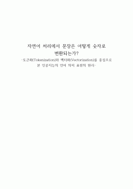 토큰화(Tokenization)와 벡터화(Vectorization)를 중심으로 본 인공지능의 언어 의미 표현의 원리-1페이지