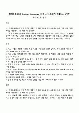 현대오토에버 Business Developer_지도 사업-1페이지