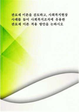 관료제 이론을 검토하고, 사회복지현장 사례를 들어 사회복지조직에 유용한 관료제 이론 적용 방안을 논하시오-1페이지