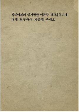장피아제의 인지발달 이론중 감각운동기에 대해 연구하여 제출해 주세요-1페이지