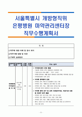 서울특별시 개방형직위 은평병원 마약관리센터장 직무수행계획서-1페이지