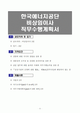 한국에너지공단 비상임이사 직무수행계획서-1페이지