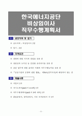 한국에너지공단 비상임이사 직무수행계획서-1페이지