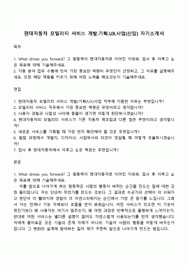 현대자동차 모빌리티 서비스 개발-1페이지