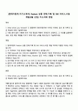 (현대자동차-자기소개서) Feature 상품 전략-1페이지