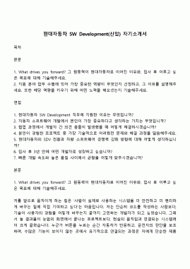 현대자동차 SW Development(신입) 자기소개서-1페이지